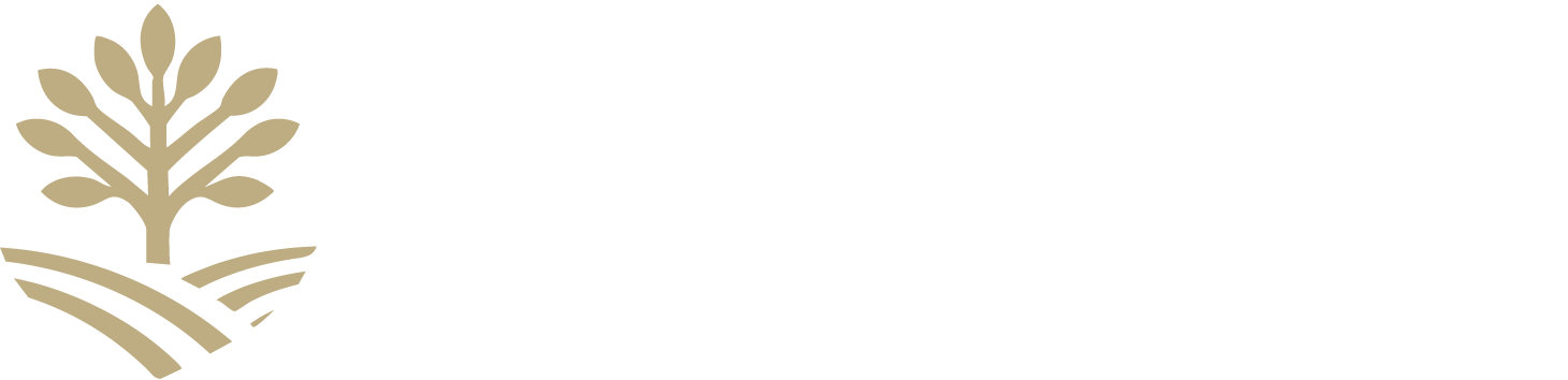 Dargis Private Family Wealth