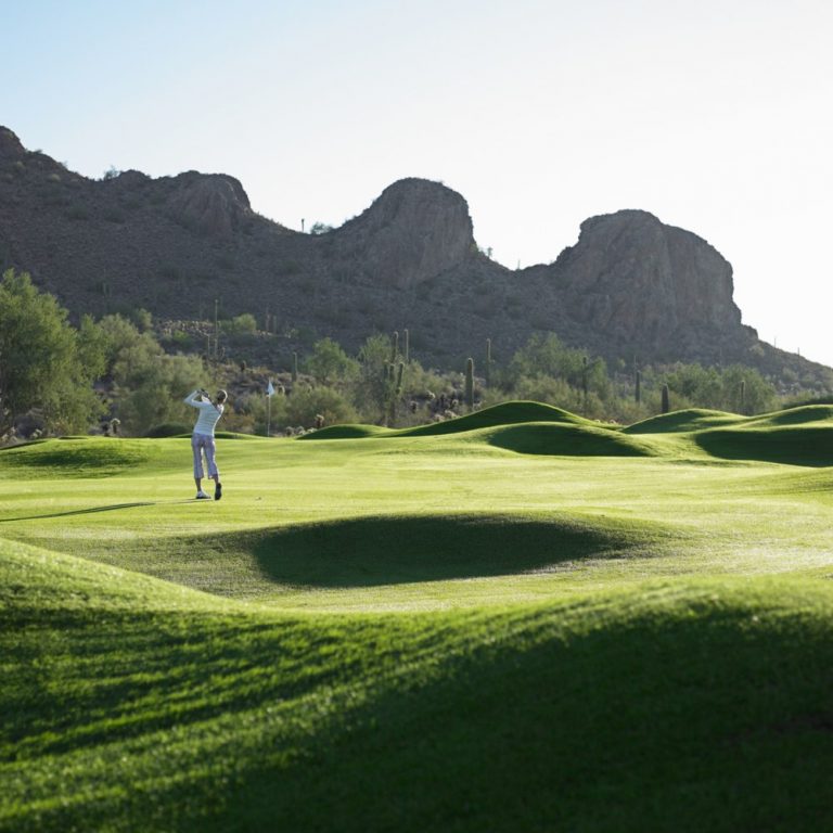 Enhanced Wealth Management – Wellington-Altus Private Wealth